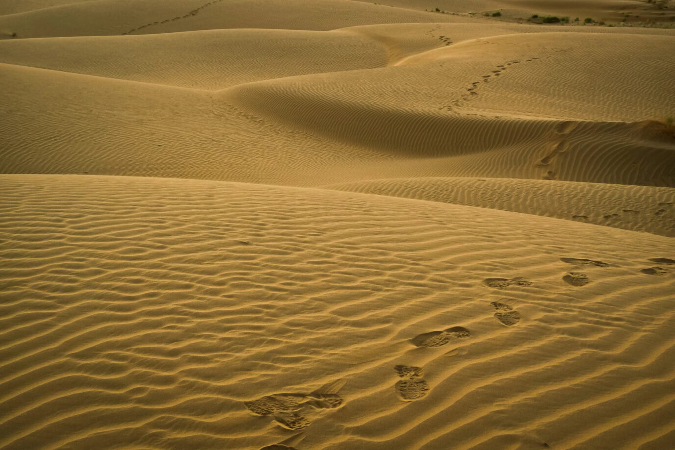 NGO Combat Heat Wave Crisis India: Helping Communities Beat the Heat ...