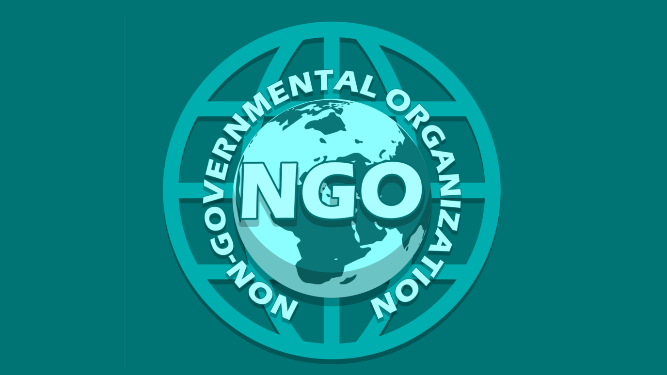 Does the Federal Government Fund Any NGOs: A Quick Guide – Opp Institutions