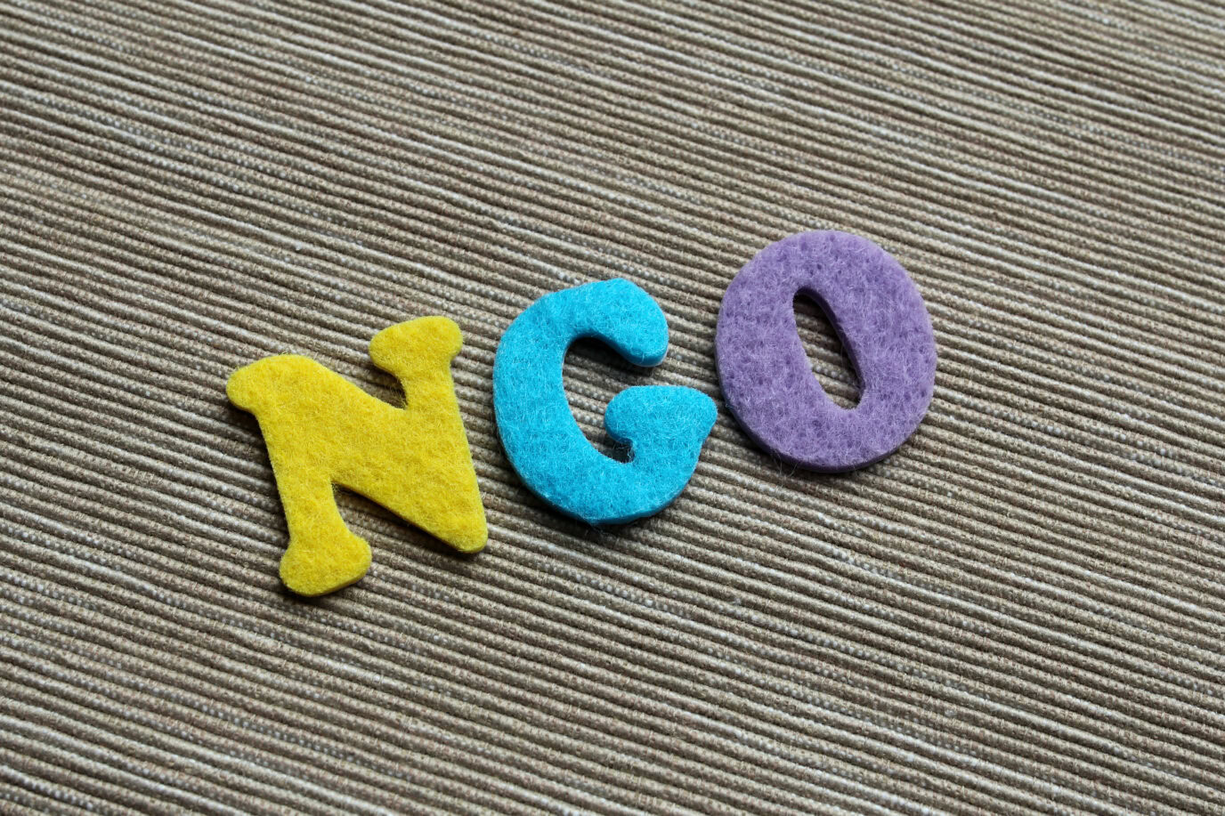 NGO Definition and Role: What They Really Do – Opp Institutions