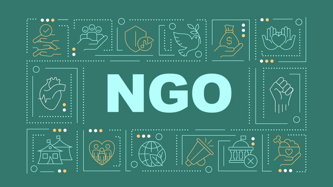 NGO Definition and Role: What They Really Do – Opp Institutions